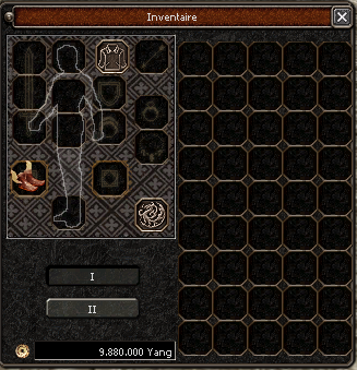 Interfata Inventar - sloturi pe orizontala - M2Forum - Totul despre ...